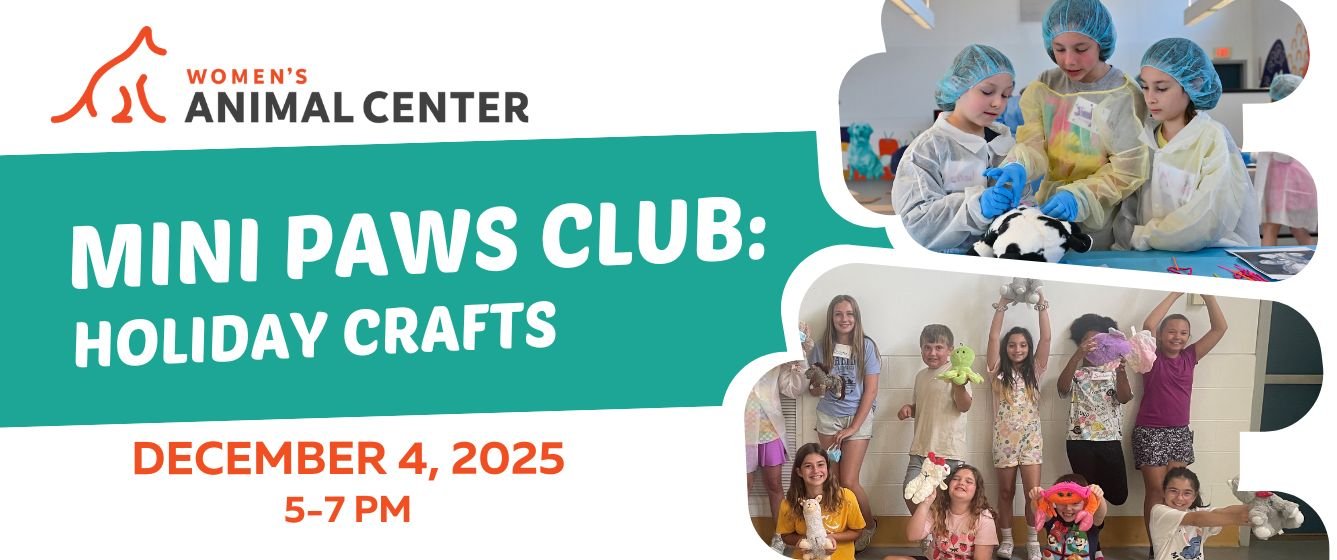 Mini Paws Club: Holiday Crafts | Women's Animal Center